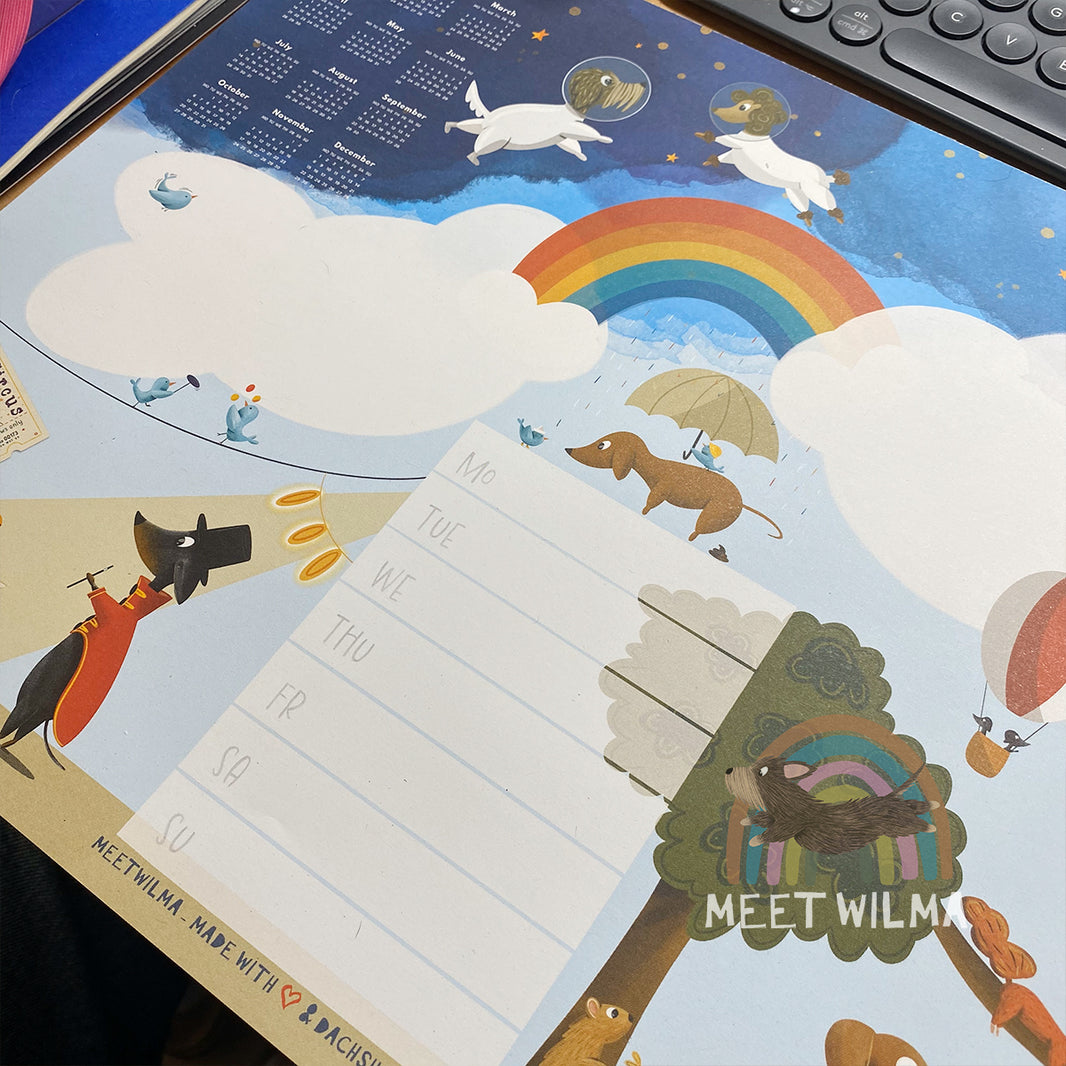 New in! – Meet Wilma